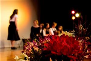 Clubs/Activities / High School: Drama Club